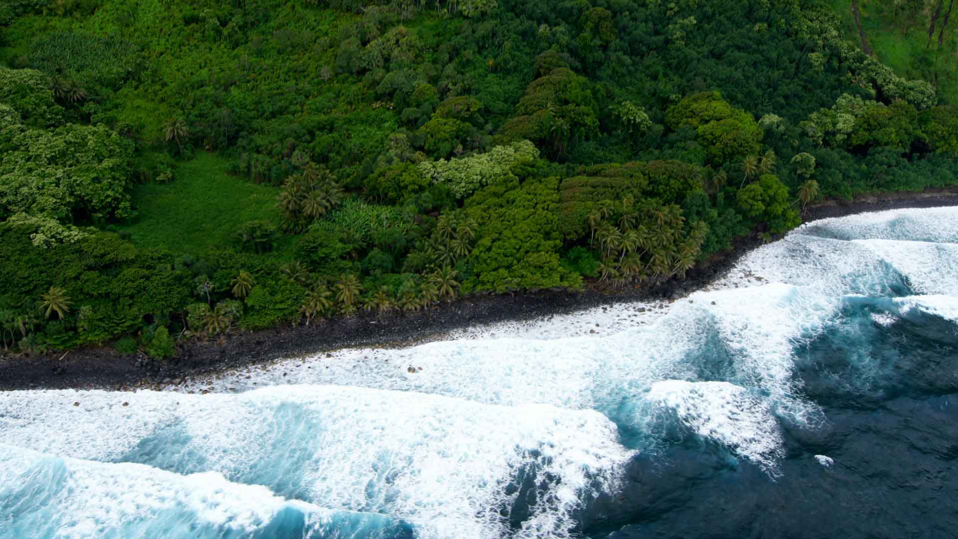 About us | International Panel for Deltas, Coastal Areas, and Islands ...